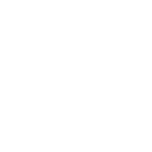 Protagonist Digital Lifecycle Marketing Agency