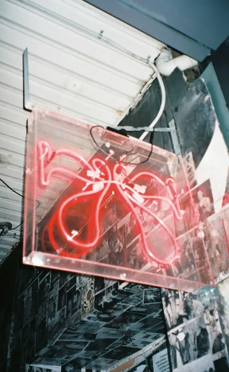 About Club 77 Sydney: History, Culture & Events | Iconic Nightlife Venue