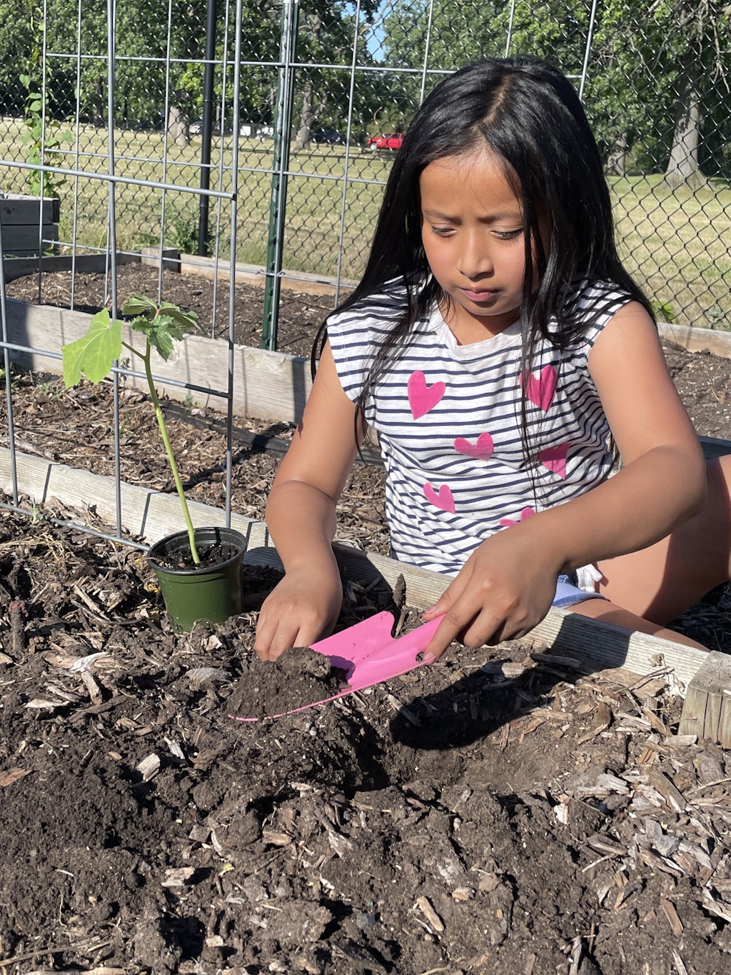 About Us – FitKids360