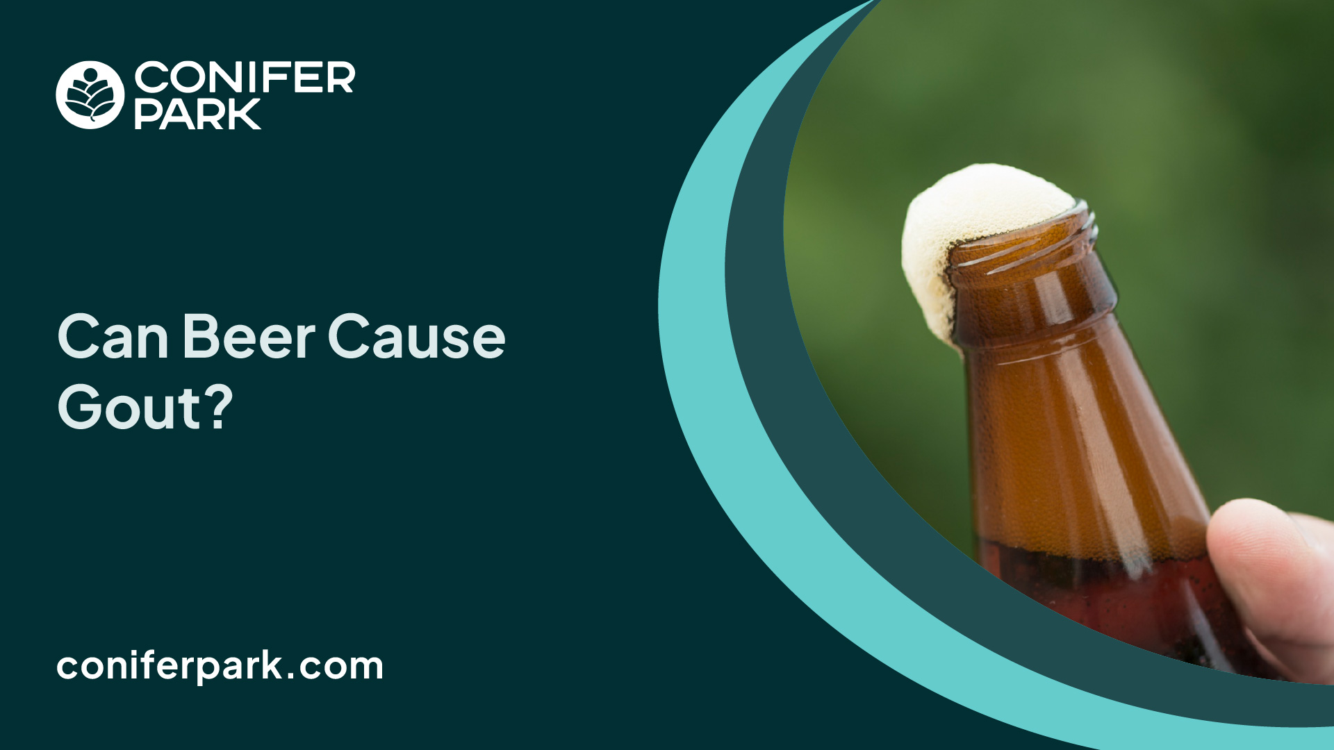 Can Beer Cause Gout?