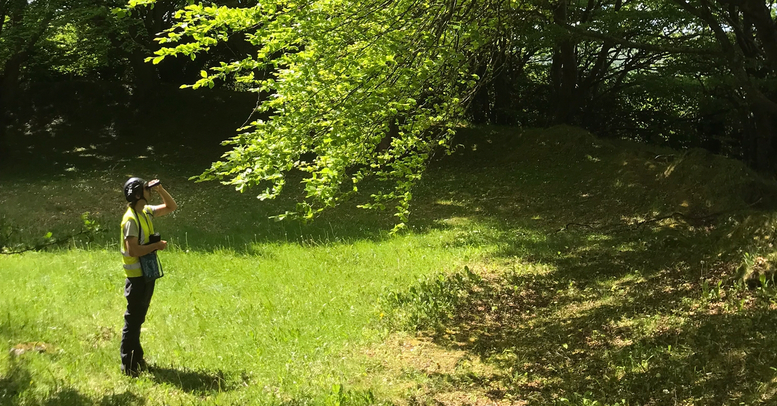 Great Heights Tree Care | Tree Surveying and Management Plans