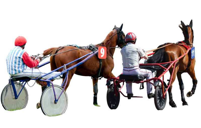 ÉvoluTurf - Des pronostics IA Nouvelle Génération