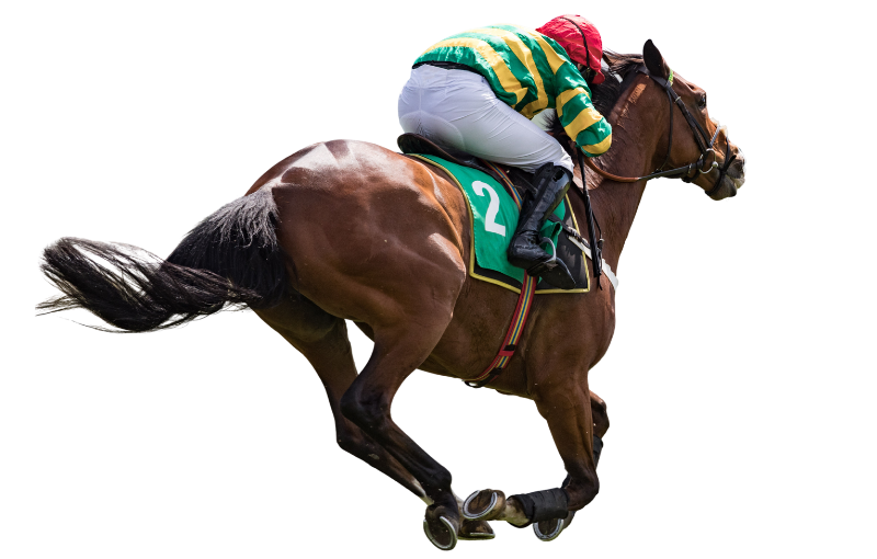 ÉvoluTurf - Des pronostics IA Nouvelle Génération