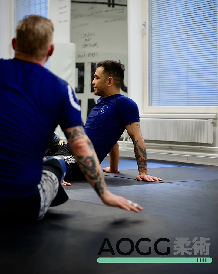 Why Both No-Gi and Gi?