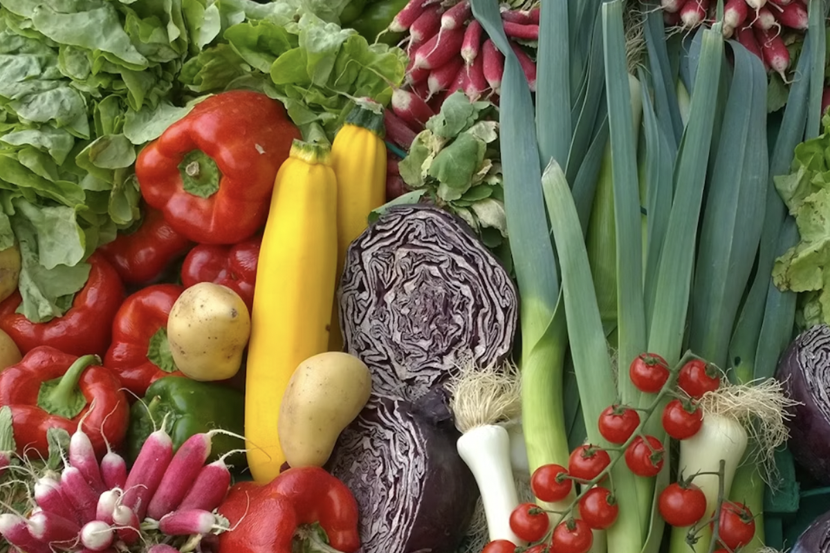 16 Ways to Turn Health Around With Bio-hacking