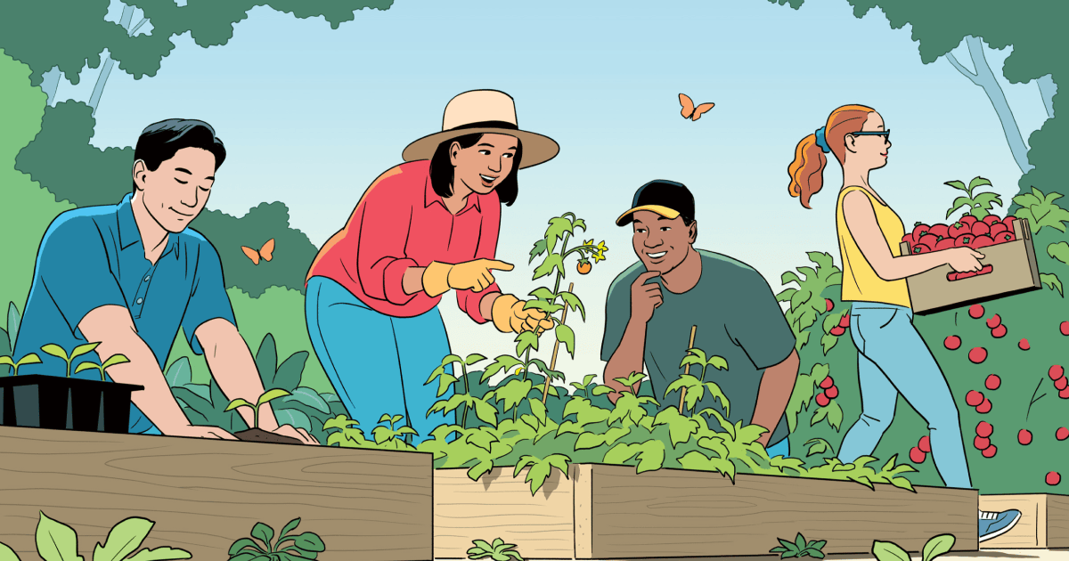 Fruitful - Finances Figured Out for You, Get on Track in 30 Days