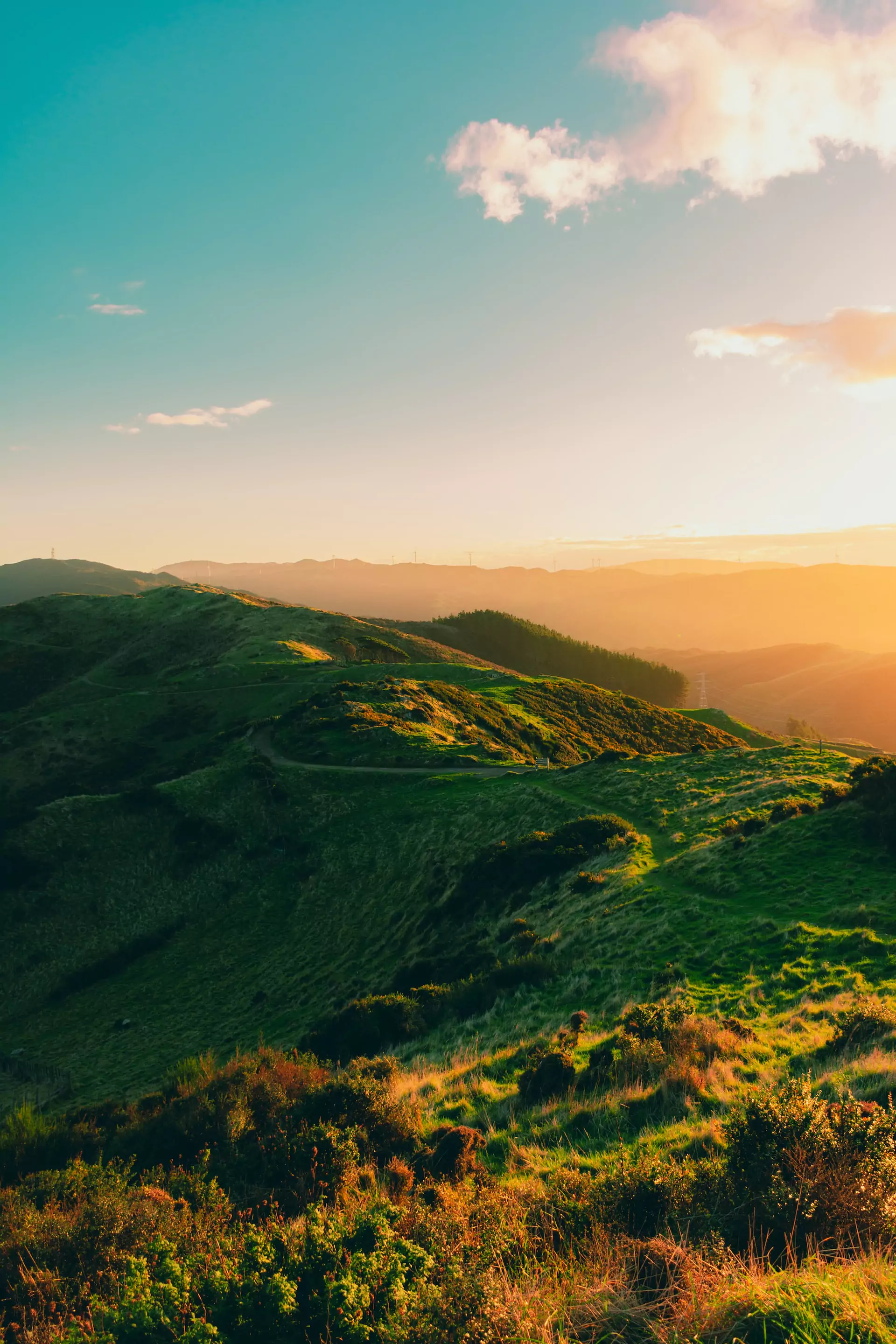 About Us - Inspire Plumbing and Drainage