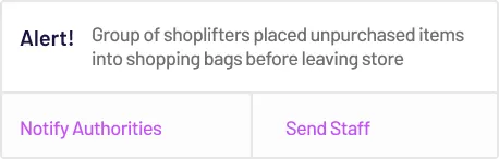 Shoplifting Alarm System | Dragonfruit AI Theft Detection System