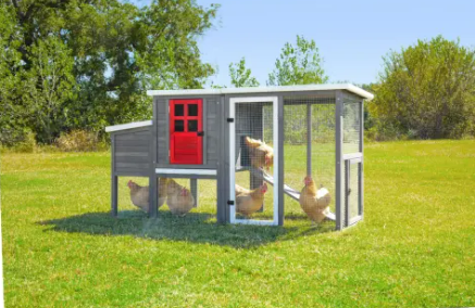 How to Raise Your Own Chickens | Fleet Farm