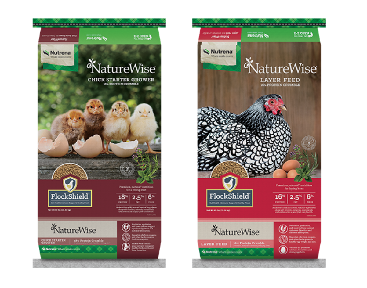 Making the Switch: Chick Feed to Layer Ration | Fleet Farm