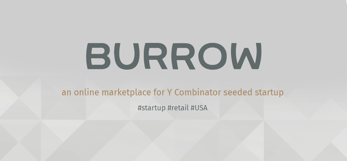 Bridge by GoMetro - Merixstudio Clients