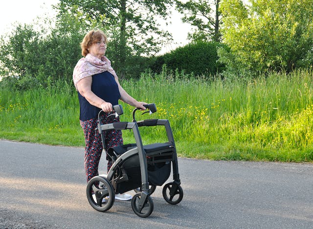 10 Best Walking Aids for Elderly Loved Ones