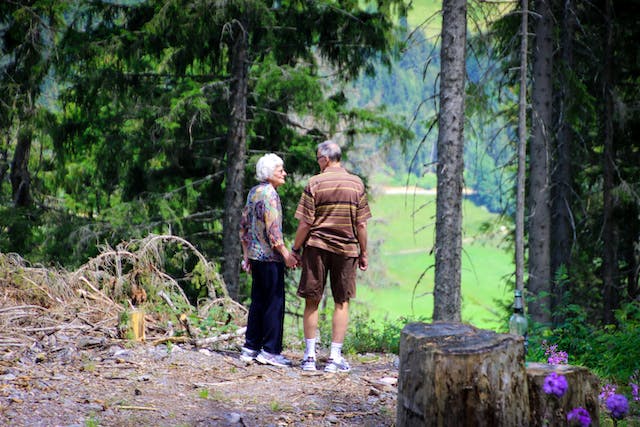 6 Safe and Fun Ideas for Senior Outings