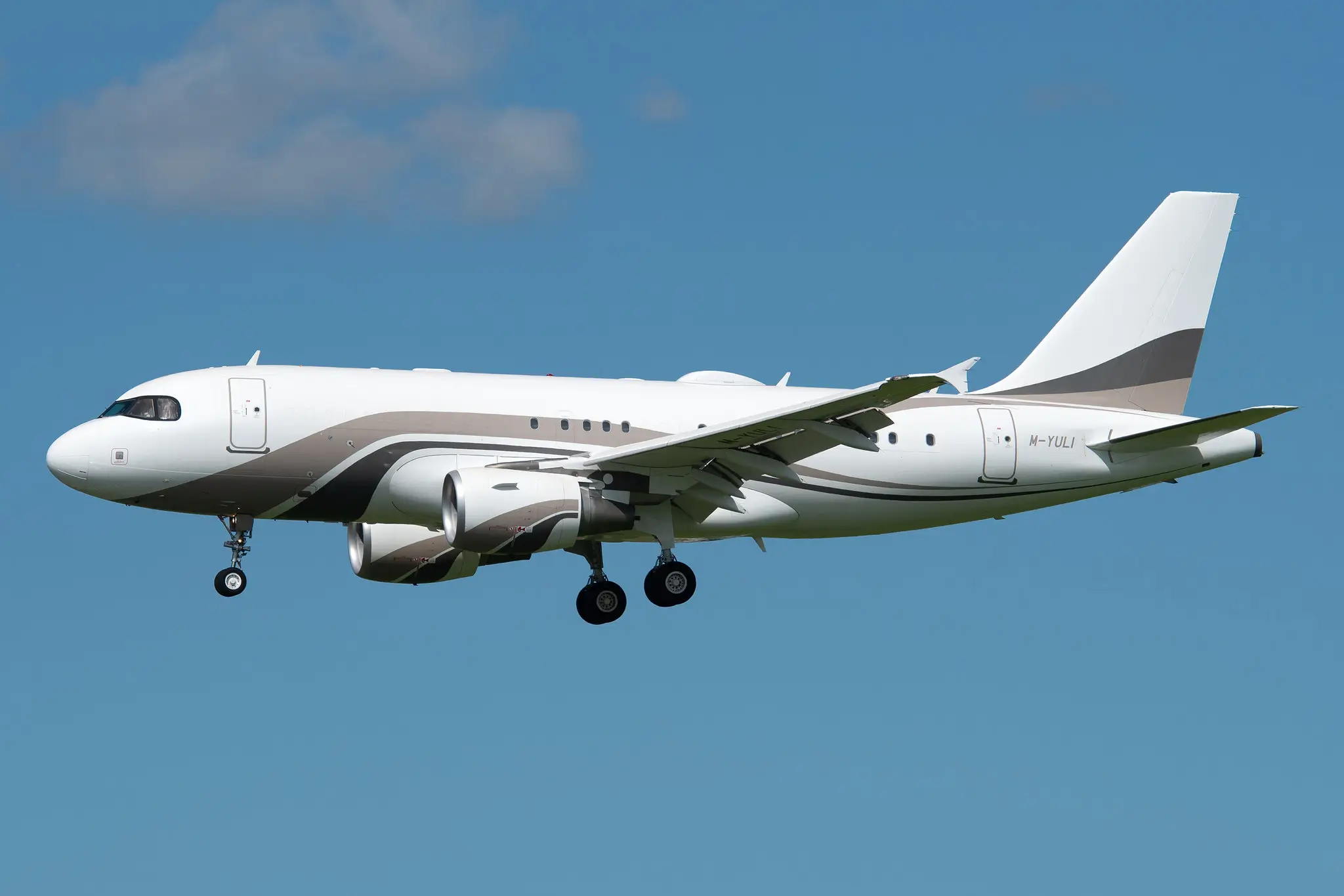 Airbus A319CJ | Corporate Jet with Global Reach | Fliteline