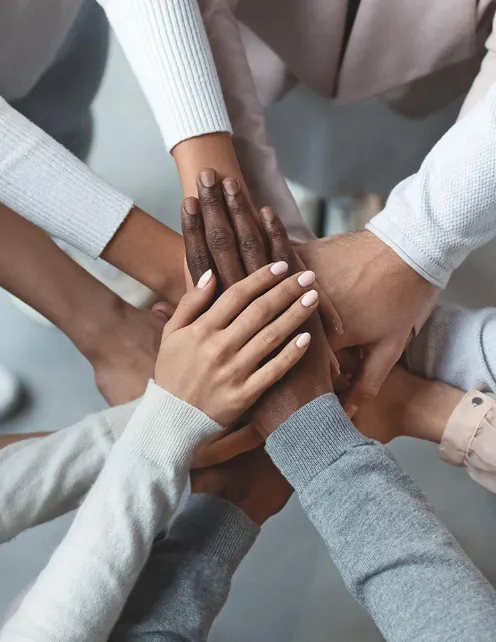 SC Training & Consultancy | Home