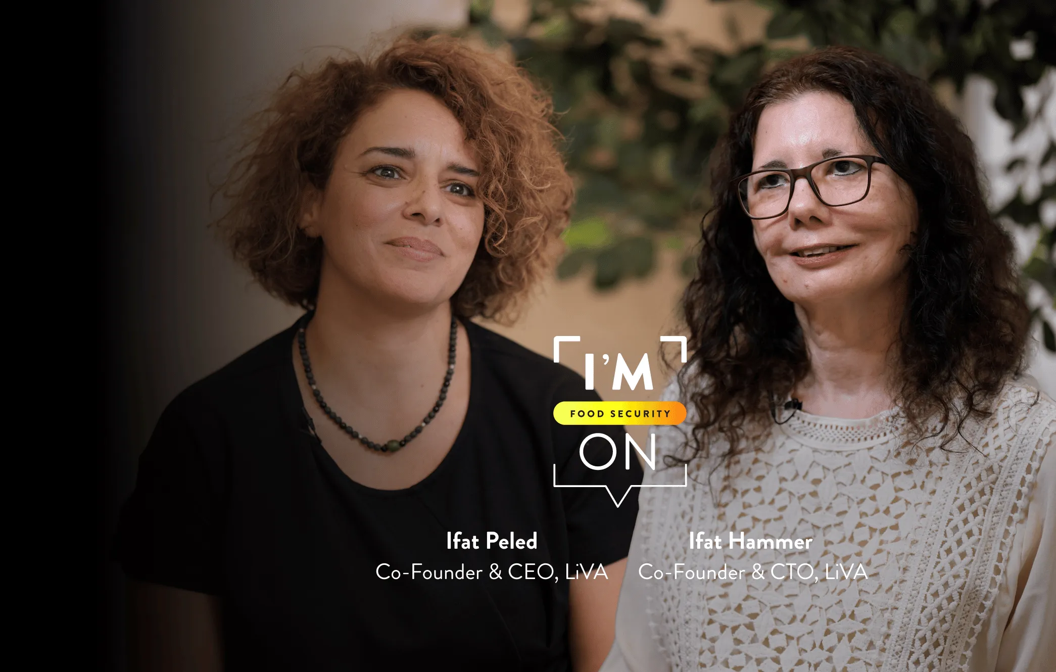 Home - Impact Nation