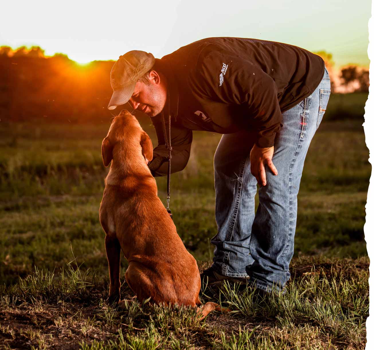 About - Diamondback Kennels