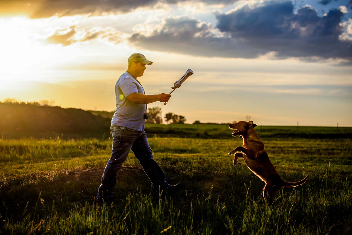 Training - Diamondback Kennels