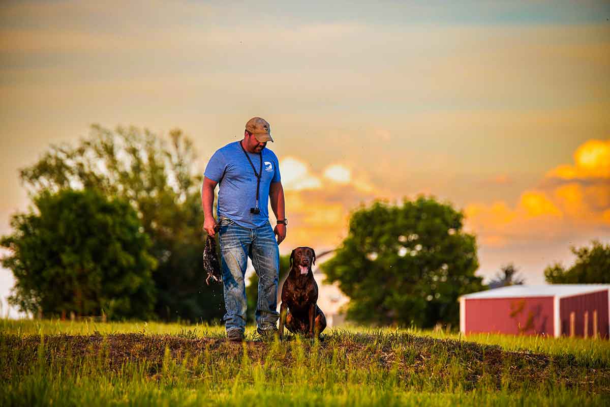 Training - Diamondback Kennels
