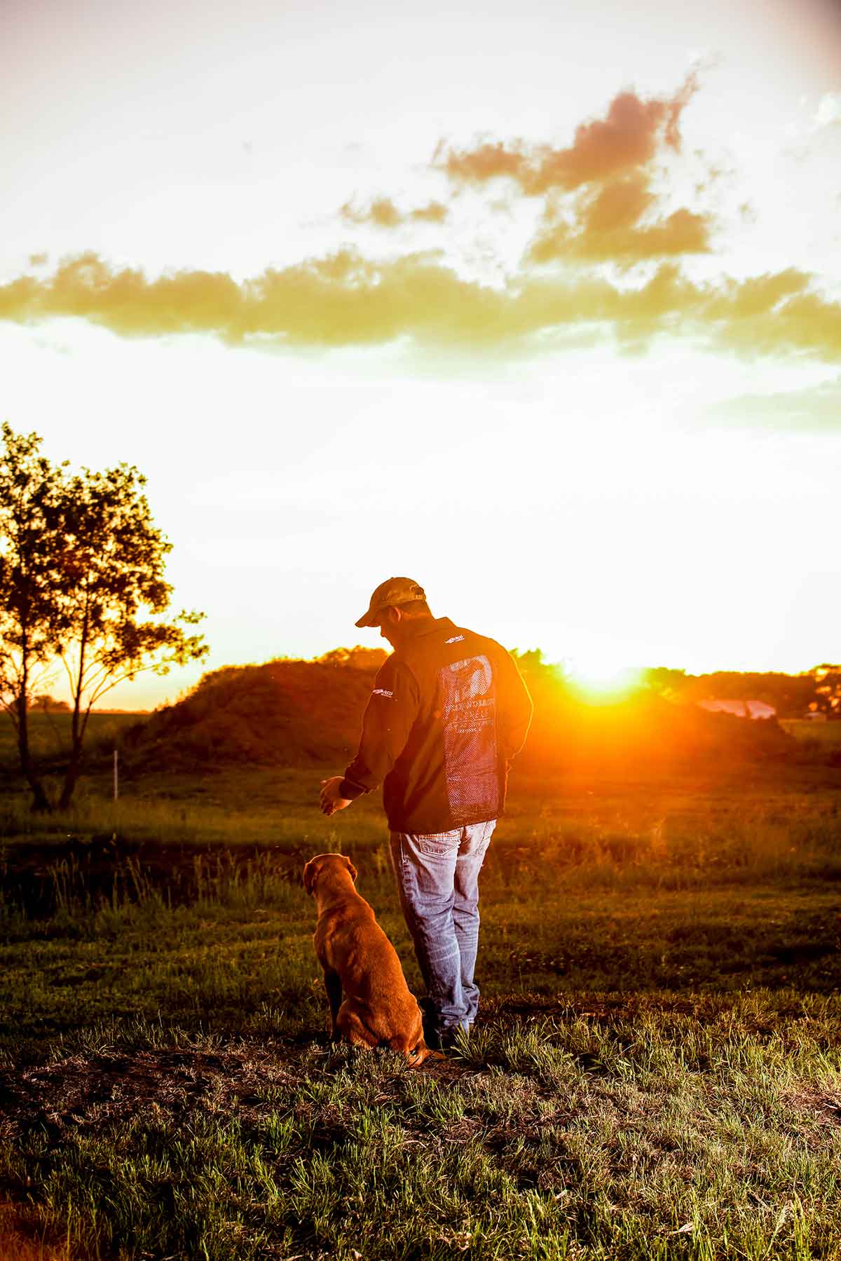 Training - Diamondback Kennels