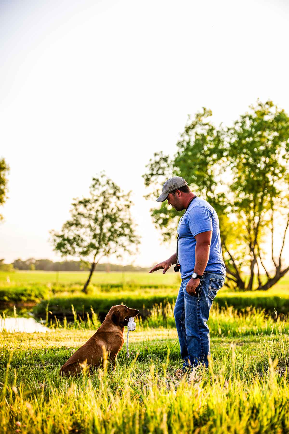 Training - Diamondback Kennels
