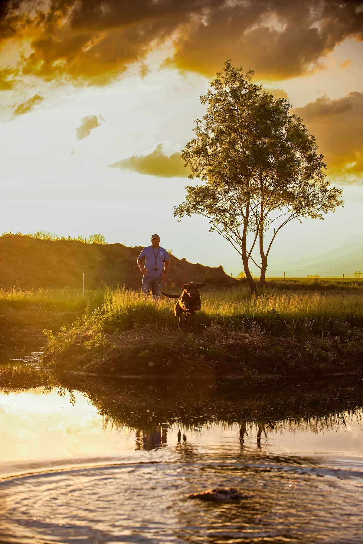 Training - Diamondback Kennels