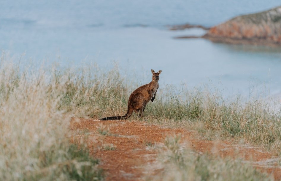 Praytell Named the North America Public Relations Agency