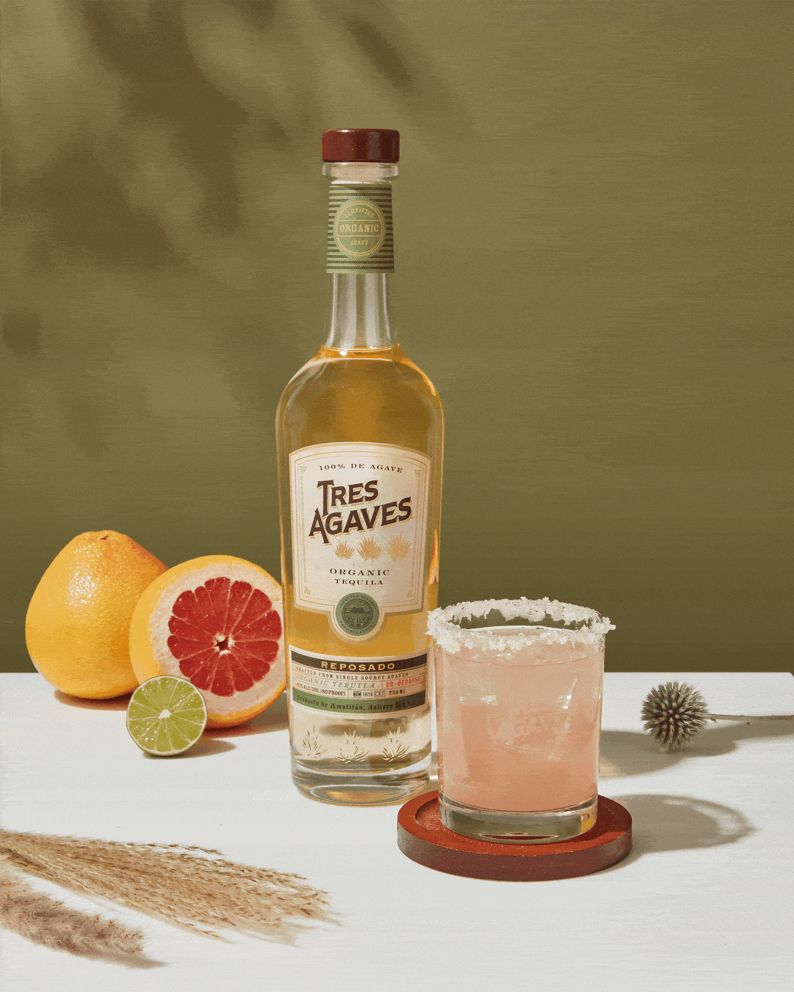 Tres Agaves Case Study - Praytell Agency