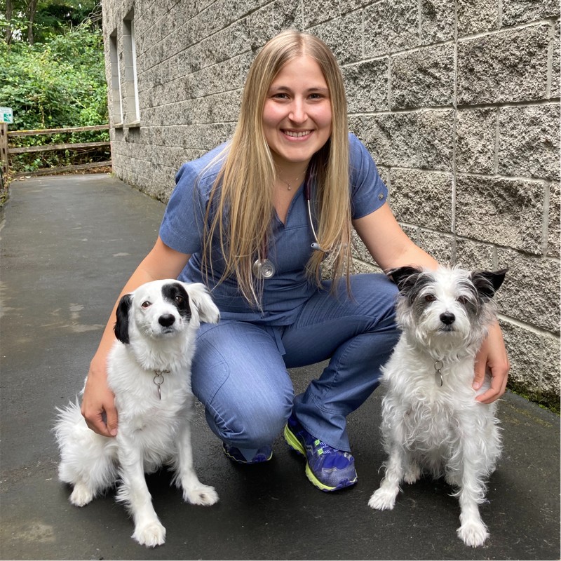 AI-Powered Veterinary Clinical | vet SOAP Notes Automation | Vetrec.io