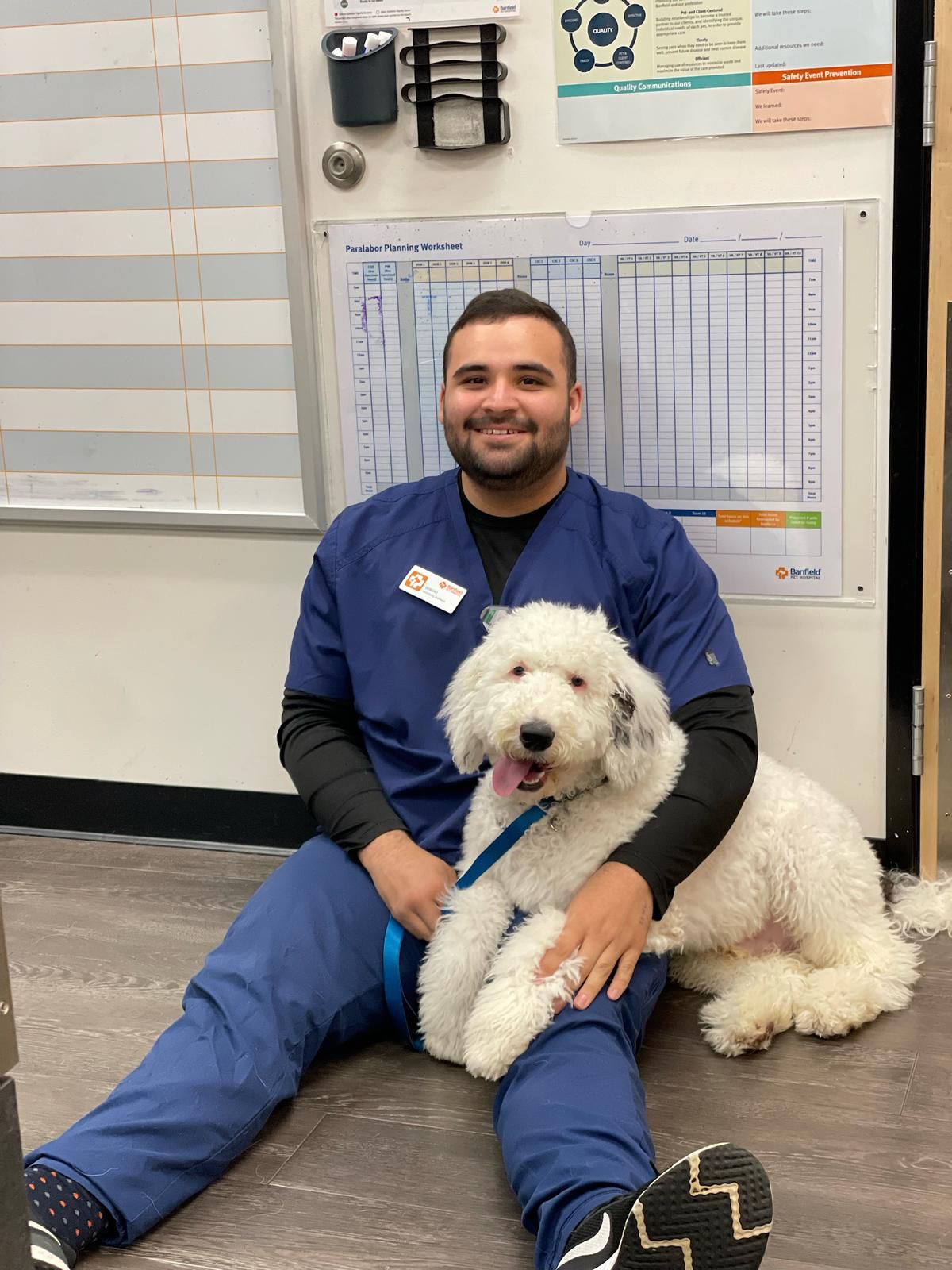 AI Powered Veterinary Clinical Notes | Vet SOAP Notes Automation ...