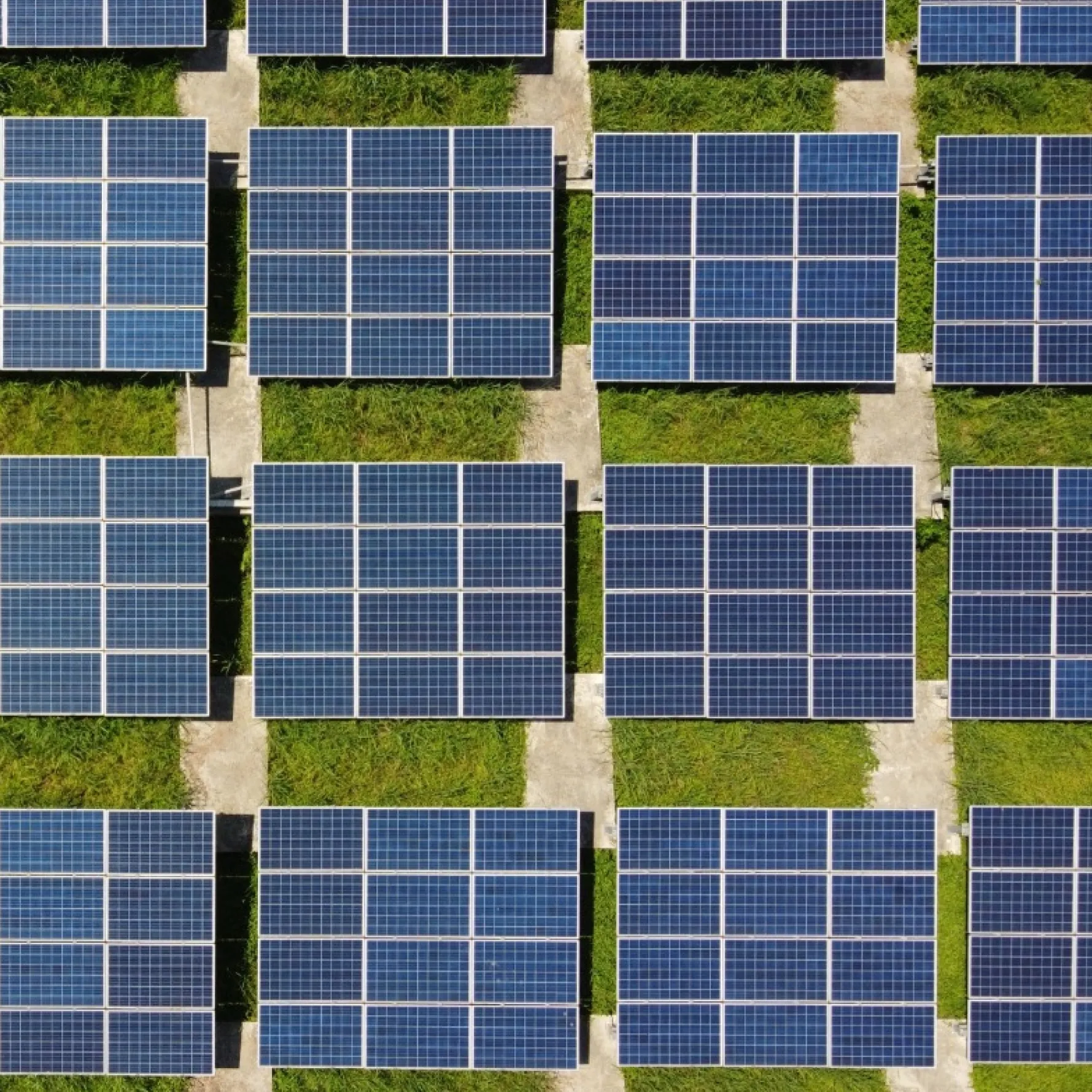 About us | Intellihub