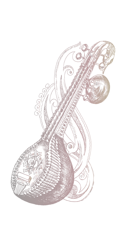 Sabesan Radhakrishnan | Veena Artist, Delhi