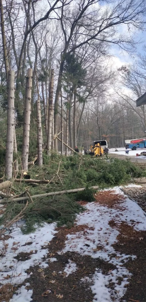 West Michigan Tree Removal Service - Arbor Grove Tree Care, LLC