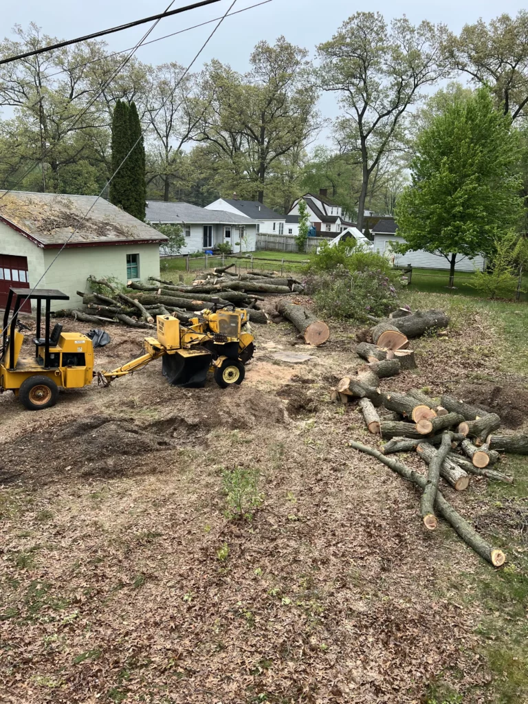 West Michigan Stump Removal Service - Arbor Grove Tree Care, LLC