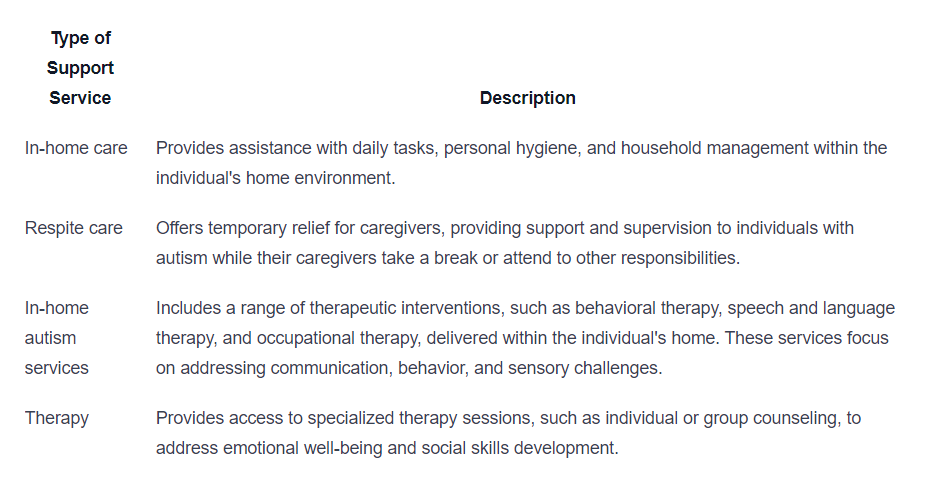 Innovative Autism Home Support Services