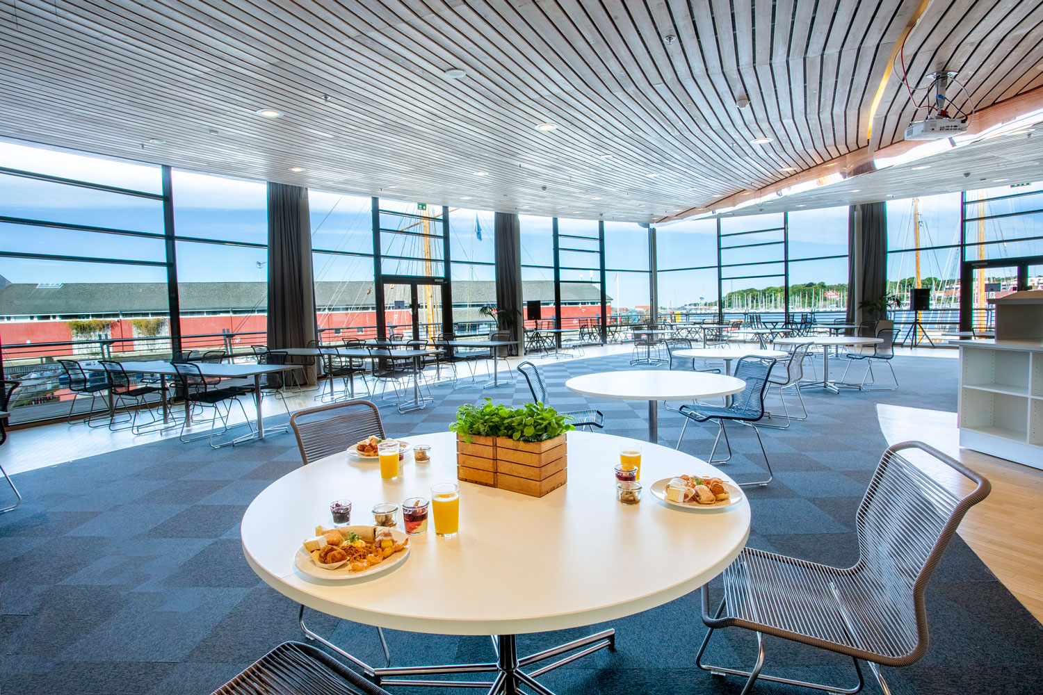 SVG Property | Verven 4