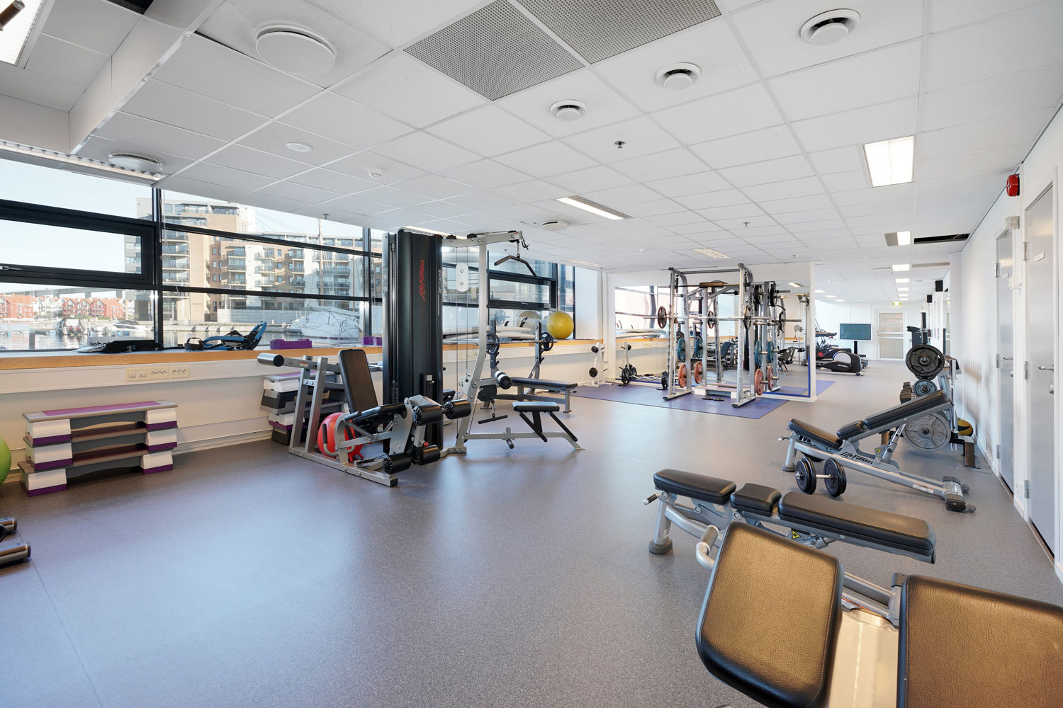 SVG Property | Verven 4