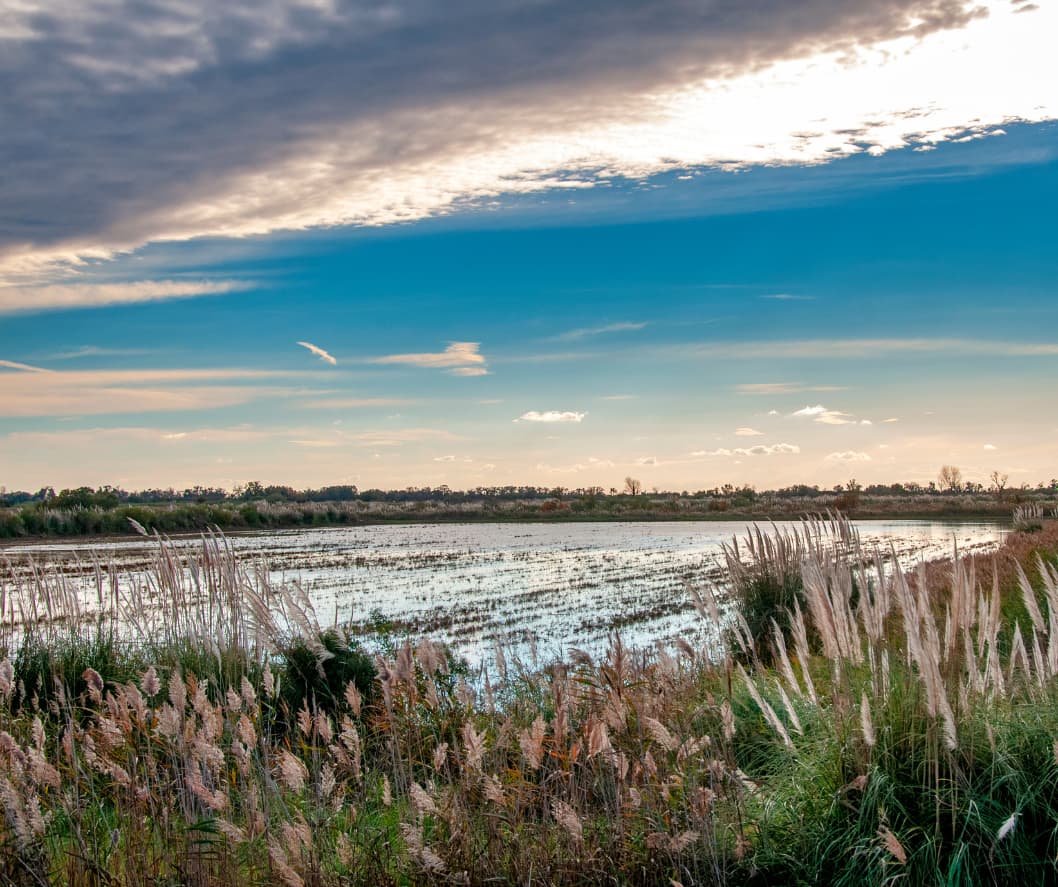 Découvrir la Camargue en 3 jours : quels sont les lieux incontournables ...
