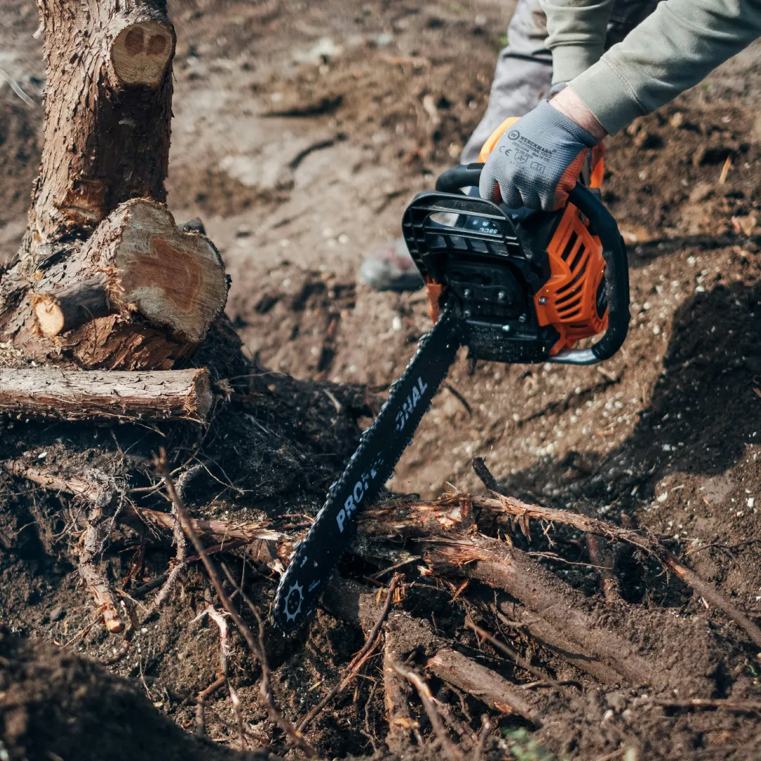 Ecofence: Arborists - Advancing Biodiversity