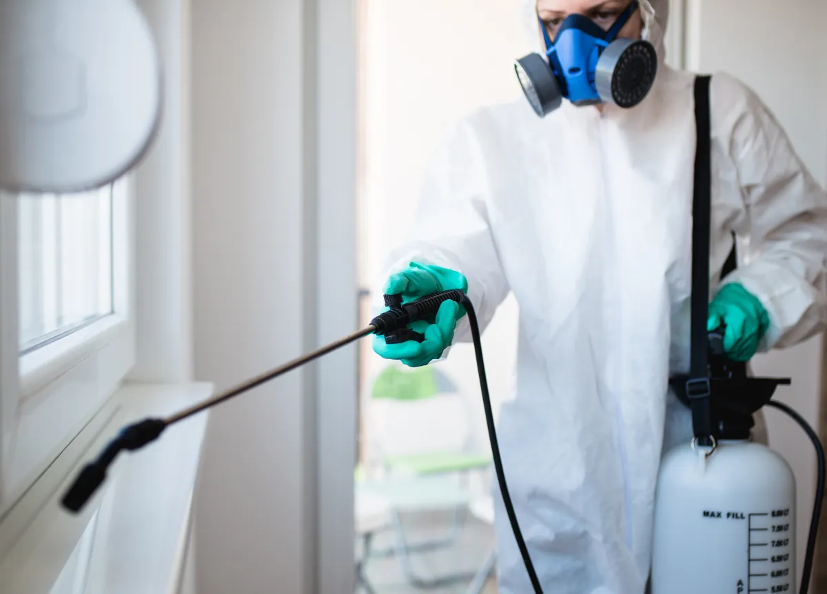 Proactive pest control strategies for property managers - PayProp Blog