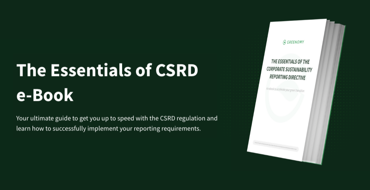 3 Easy Steps to Generate your CSRD Report as a Company