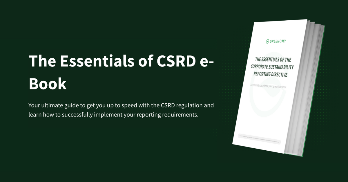 Understanding the Official ESRS and its Final Revisions Understanding the Official ESRS and its Final Revisions