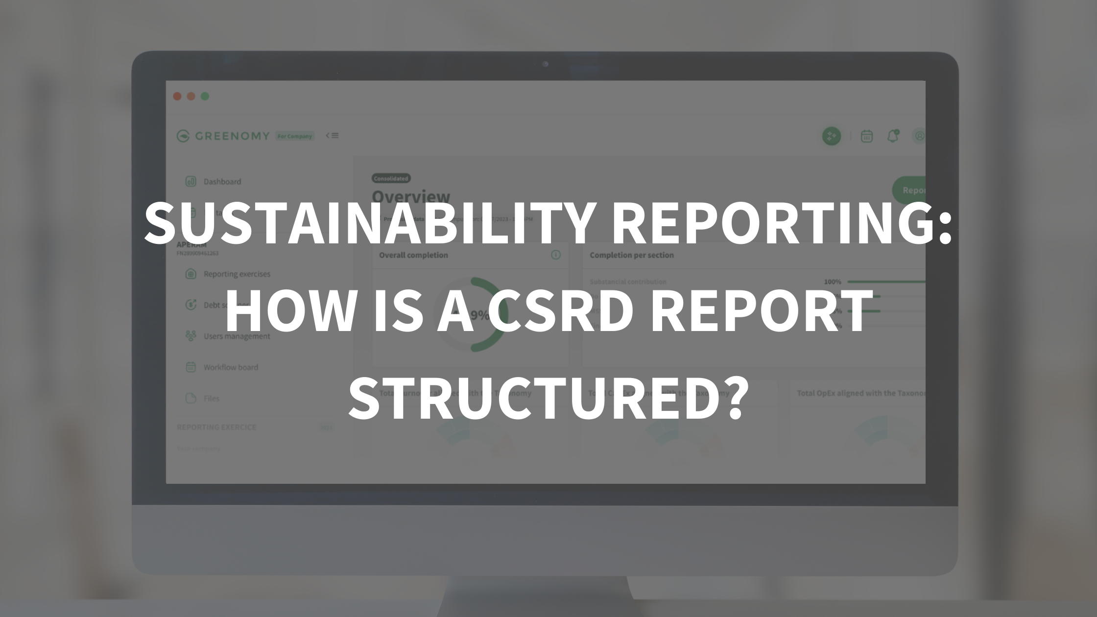 How is a CSRD Report Structured?