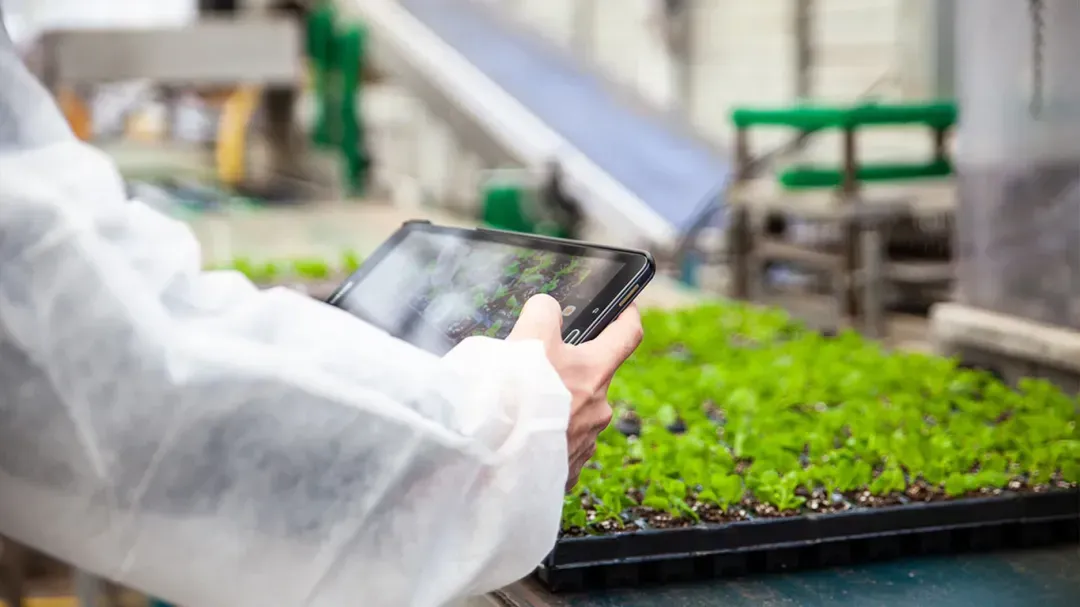 Inspections & Observations