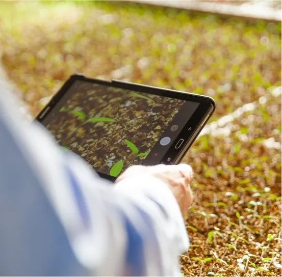 Crop Management Software for Plant Nurseries - Mprise Agriware