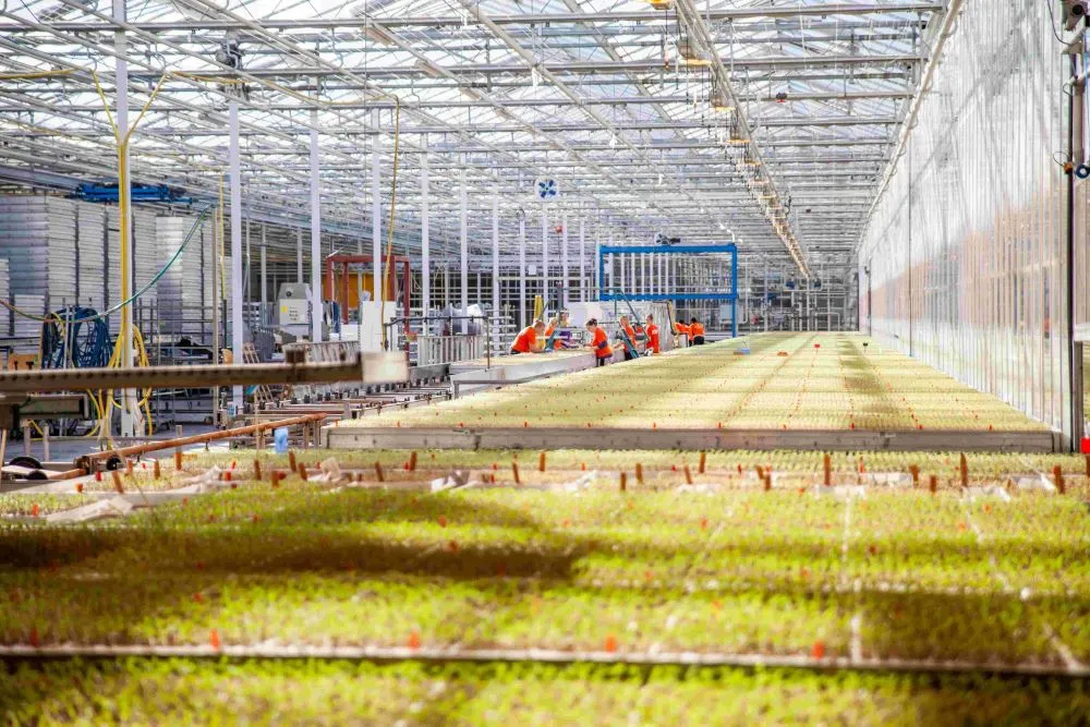 Agriware 365 Implementation | How?