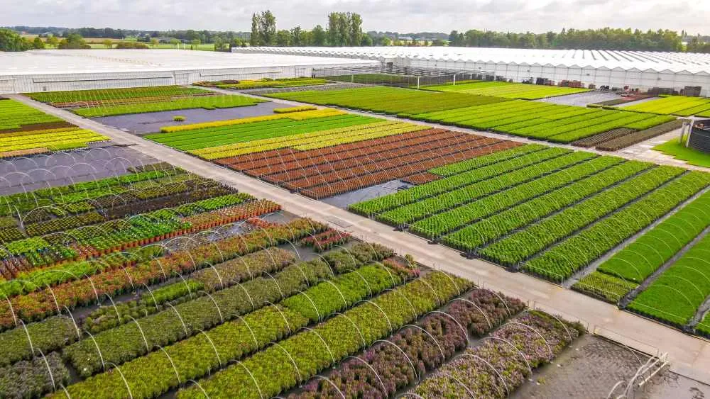 ERP Software | Large-scale Plant Nurseries