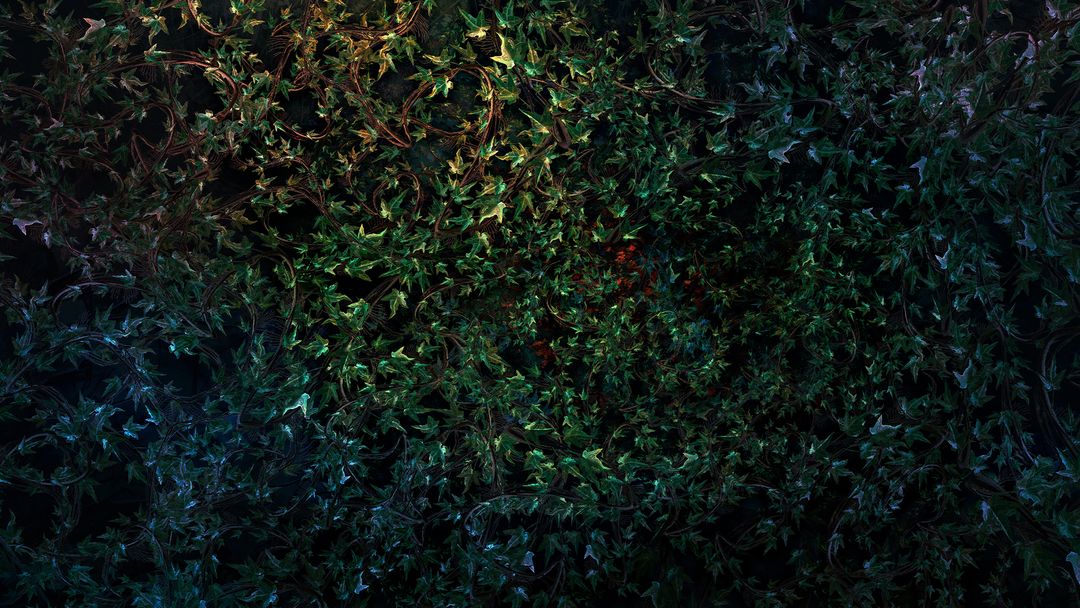 Wildwood - LAIKA Studios