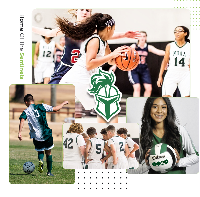 North Dallas Adventist Academy | Faith and Learning