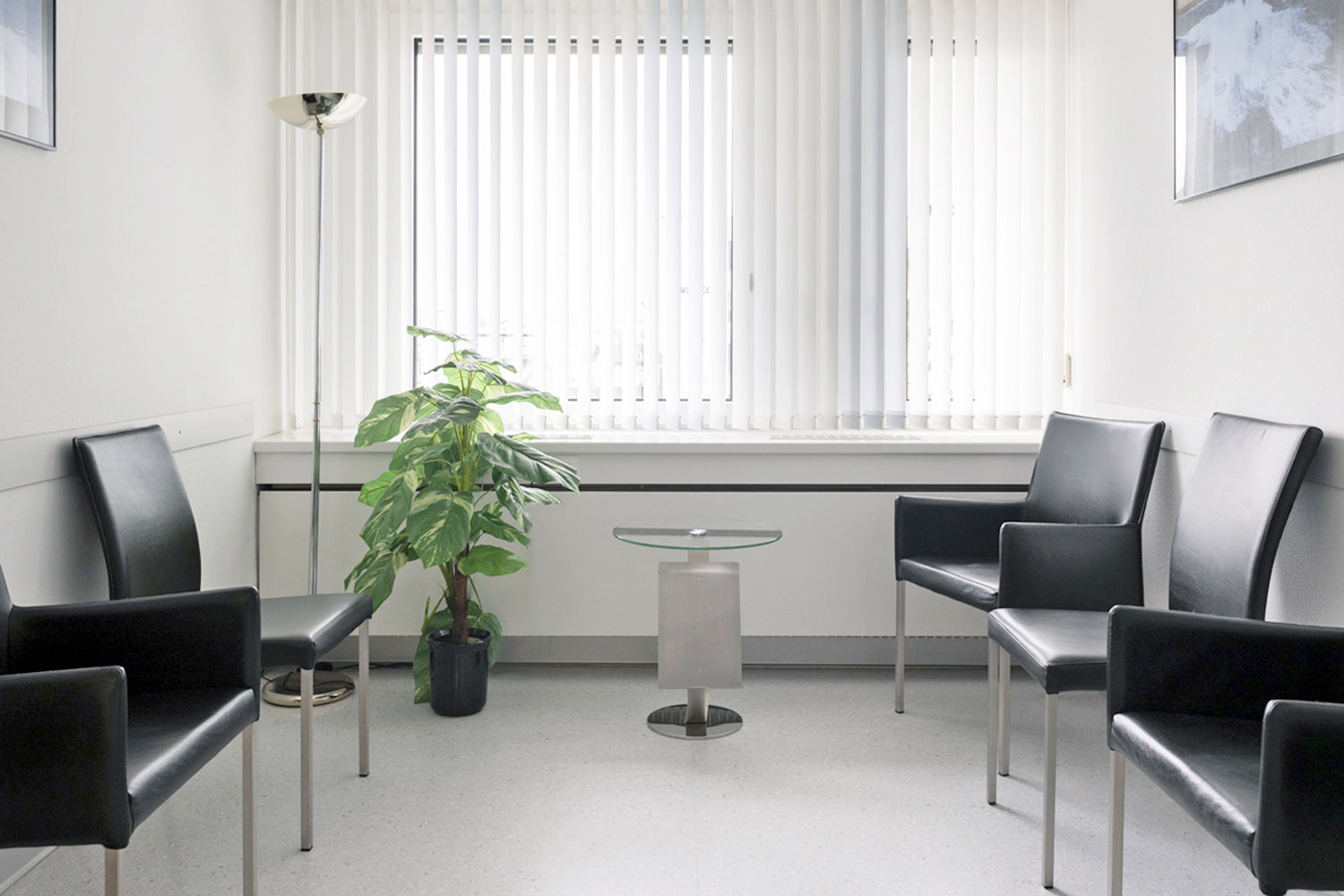 VISCERA Thun – Organe